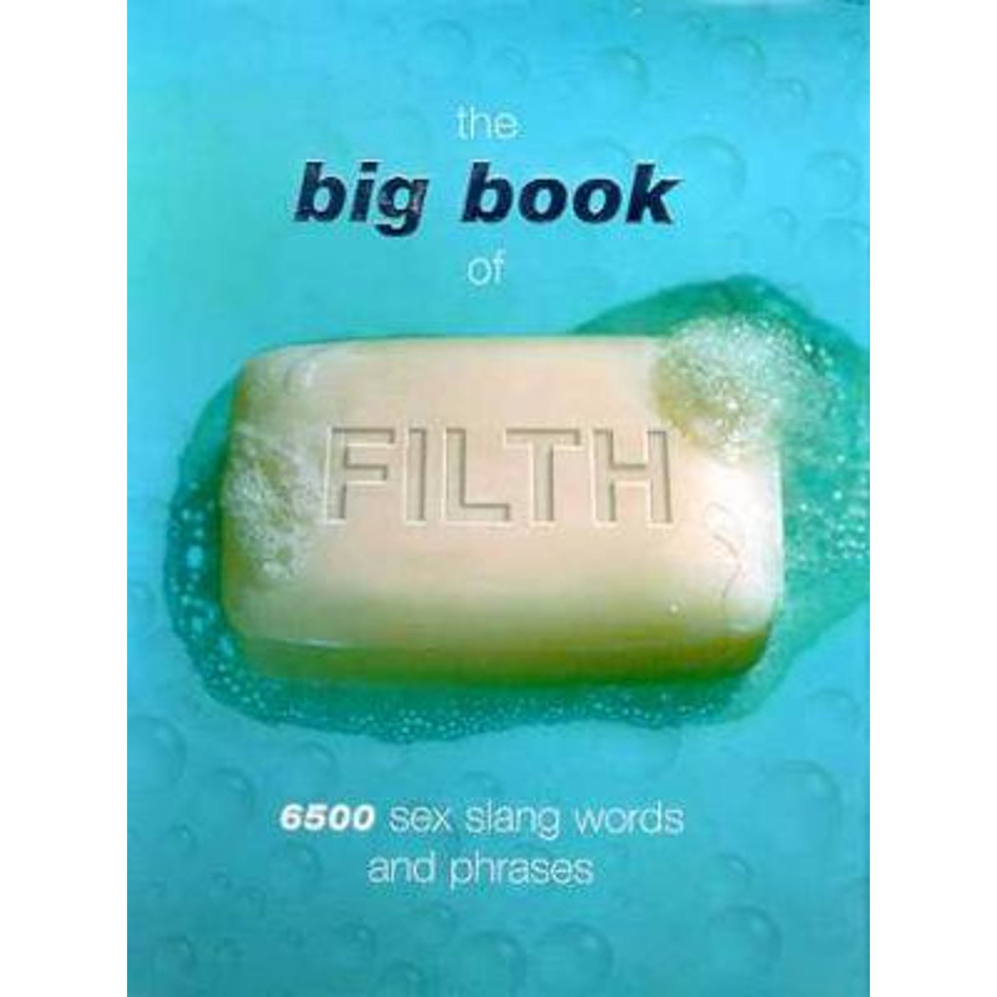 Pre-Owned The Big Book of Filth: 6500 Sex Slang Words and Phrases ...