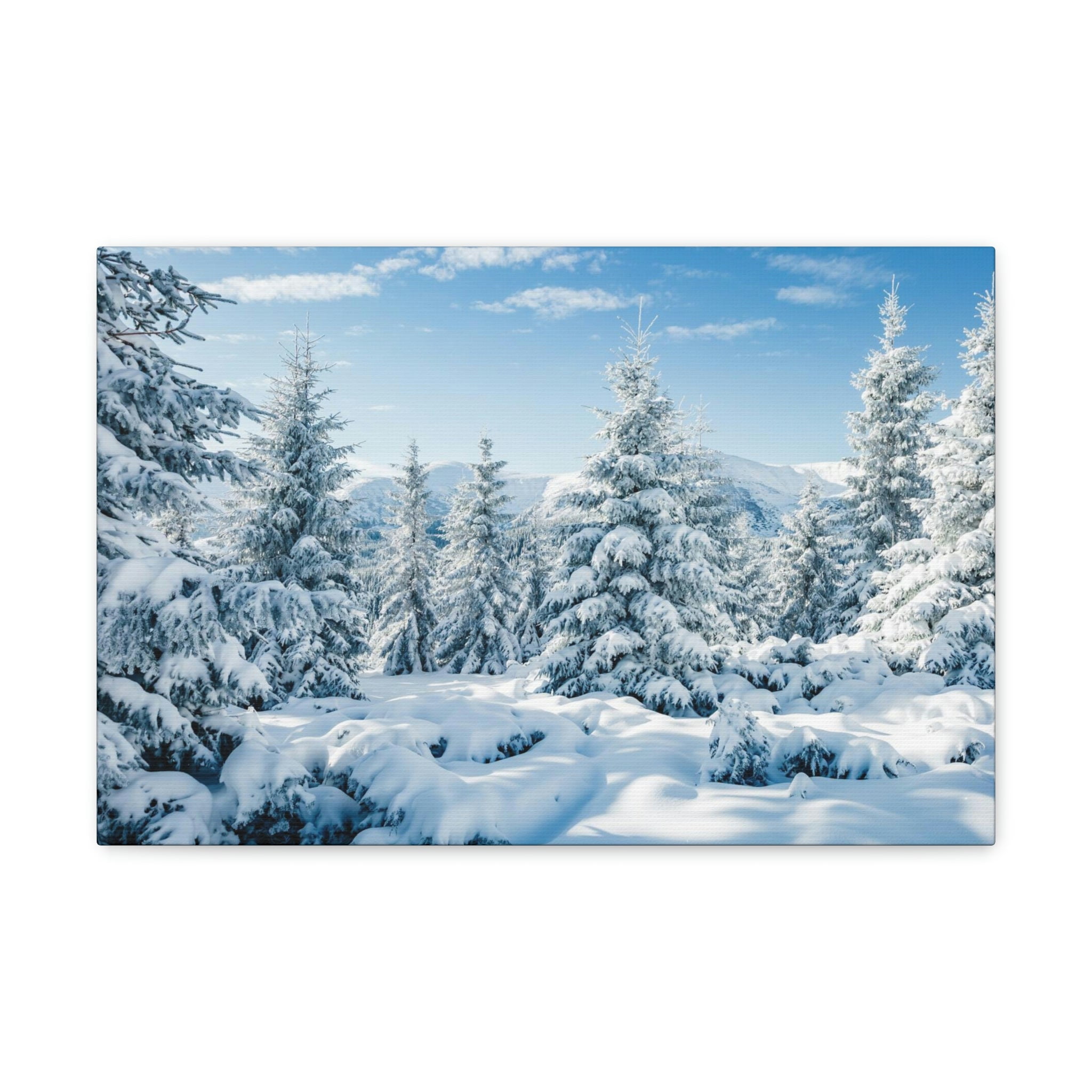 Refined Winter Snow Scene Beautiful Magnificent and Glorious Winter ...