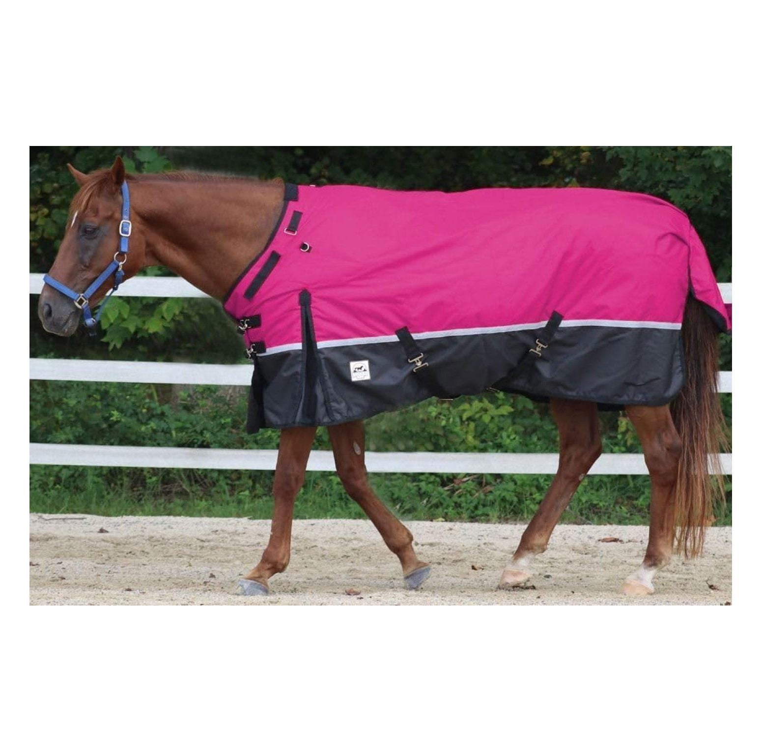 Reflect 1200 Denier Turnout Sheet -Adjustable Neck - Reflective Stripe ...