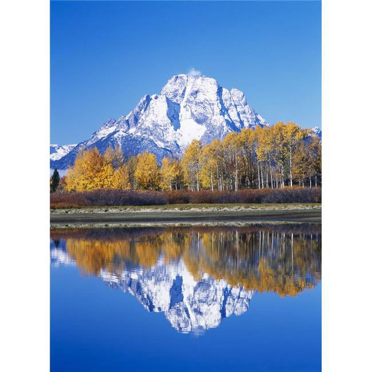 Reflection Mount Moran Snake River Grand Teton National Park Montana USA Poster Print by Natural ...