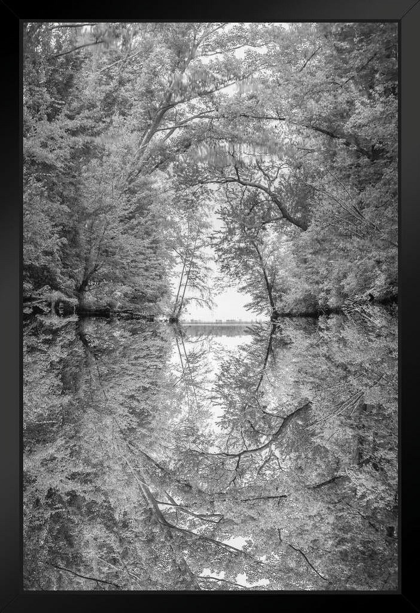 Reflection of Tree Branches in River Photo Poster Black White ...
