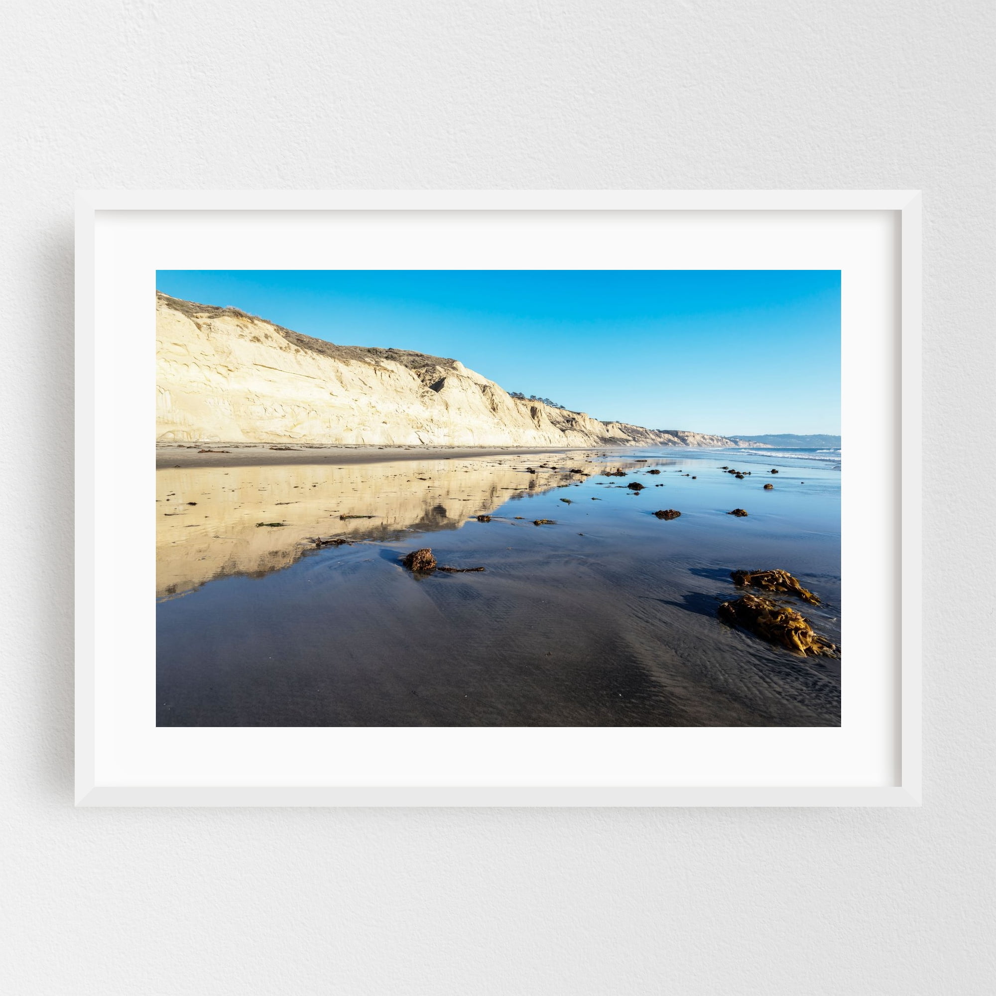 Reflections of Torrey Pines - California Photography Beach Coastal ...