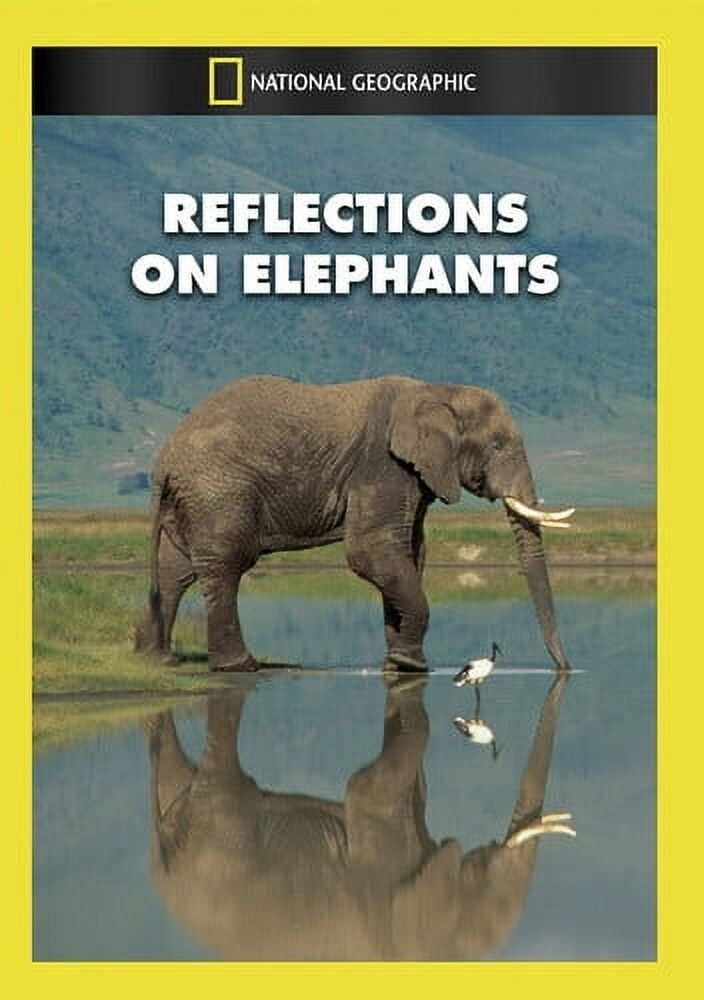 Reflections on Elephants (DVD), National Geographic, Documentary ...