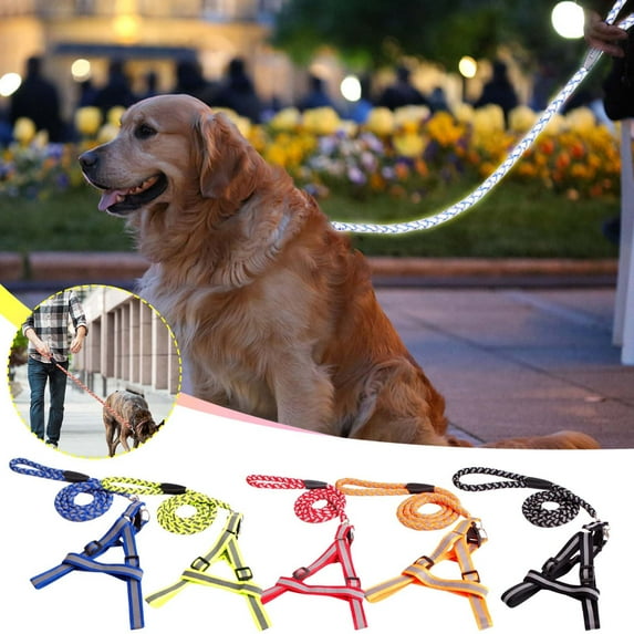 Reflective Dog Leash, Heavy Duty Woven Rope with Padded Handle, for ...