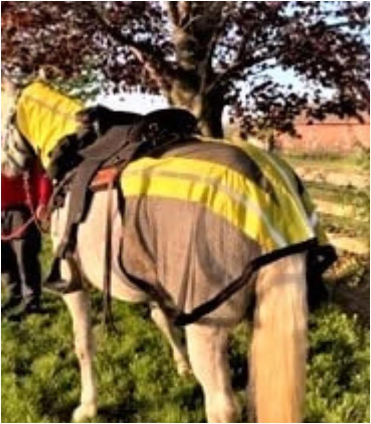 Reflective Horse Safety Shield ( Yellow) Made in USA with Soft Fleece ...