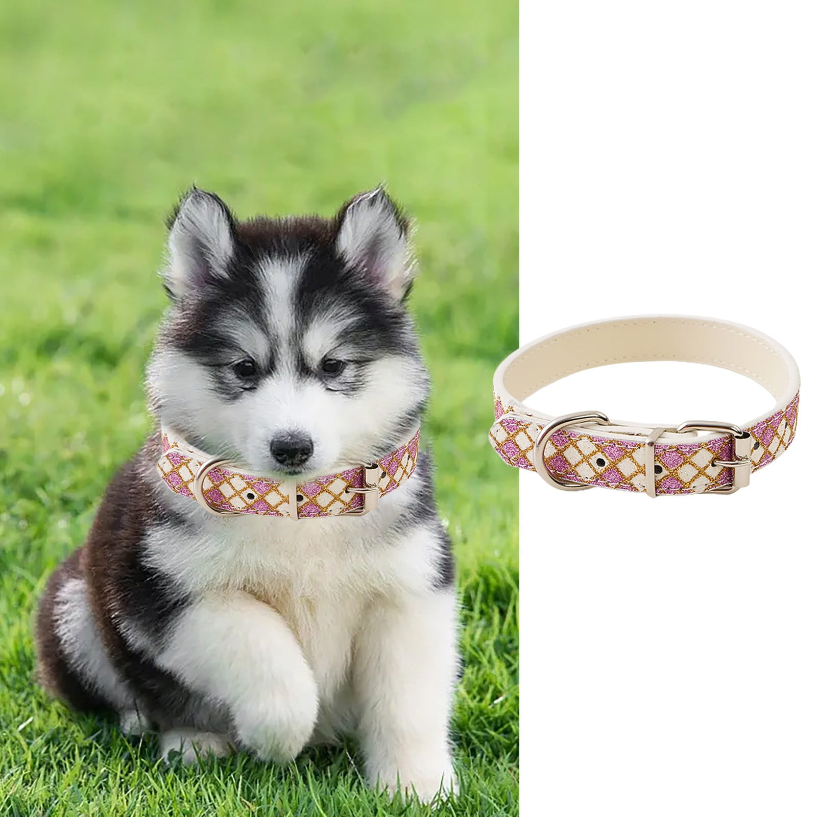 Reflective Pet Collars for Cats and Dogs - Stylish Light Ring with Wind ...