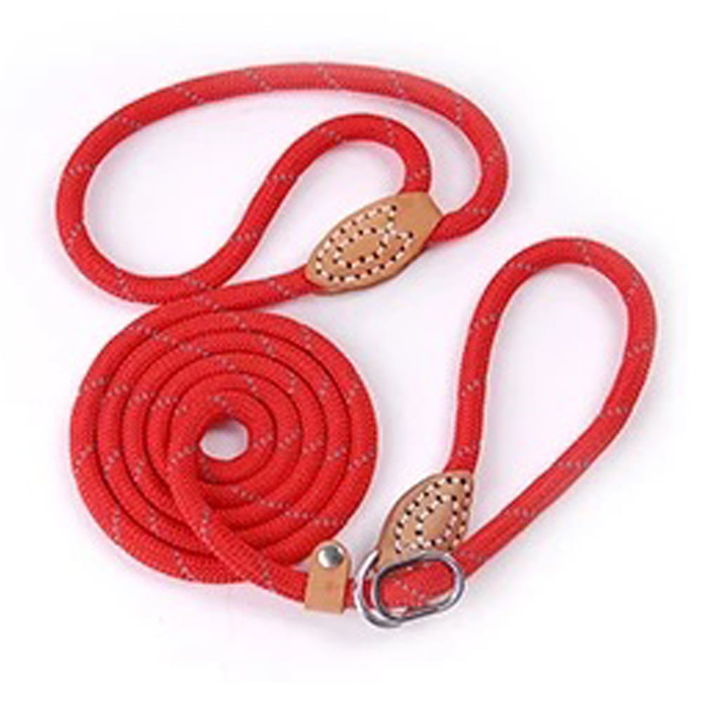 Reflective Rope Slip Training Lead, Mountain Climbing Rope Pets Leash ...