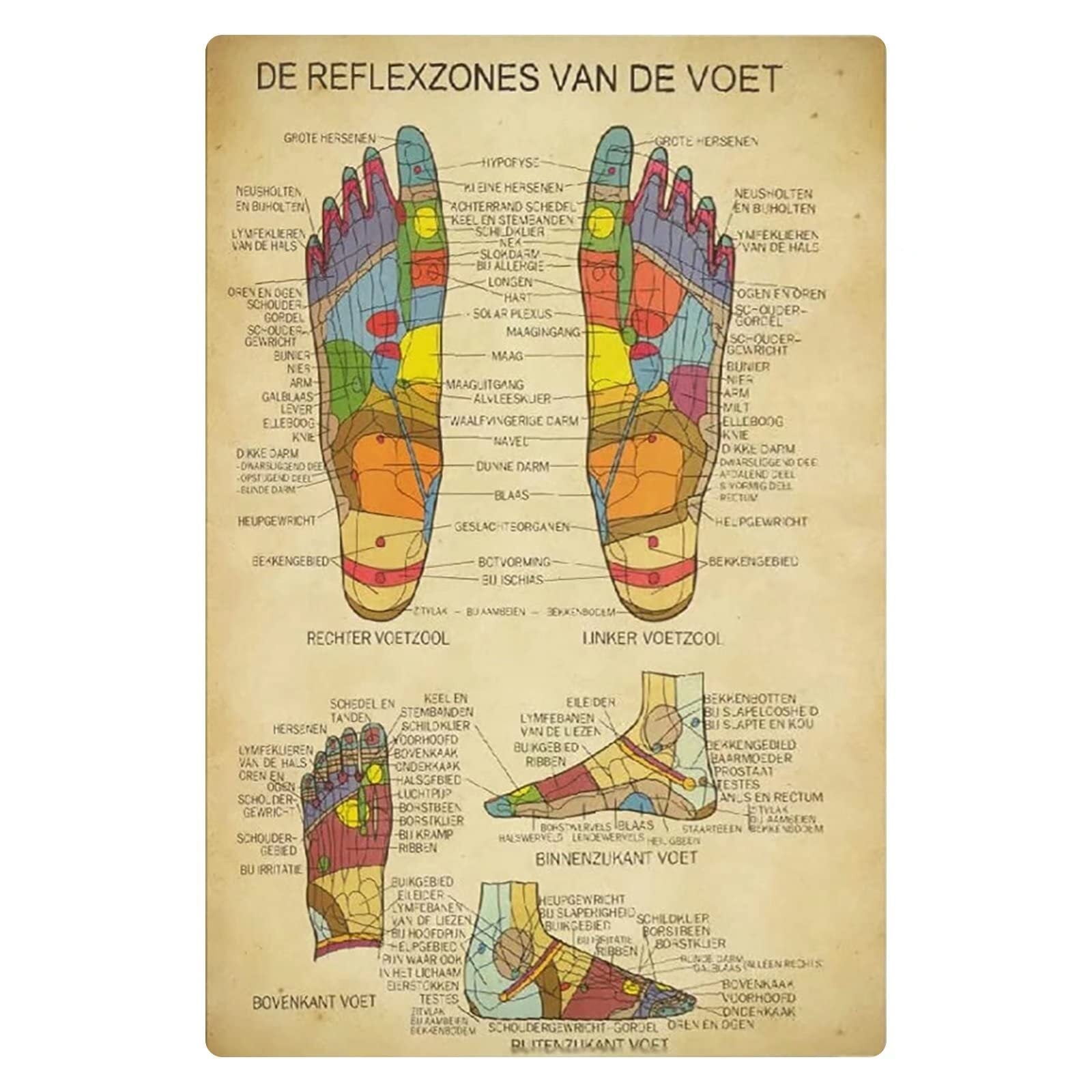 Reflex Zones For Feet Massage Therapists Quick Reference Guide Posters Office Education Wall ...