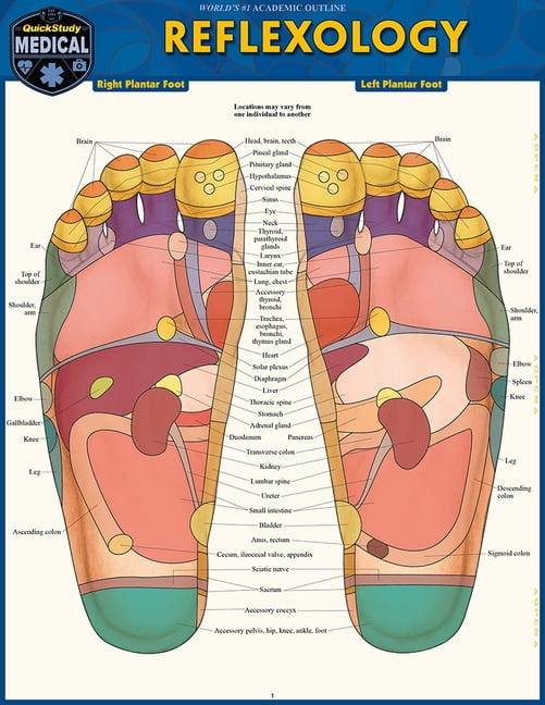 Reflexology: A Quickstudy Laminated Reference Guide, (Paperback) - Walmart.com