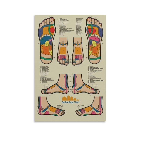 Reflexology Chart Poster Anatomical Foot Mapping Guide Canvas Wall Art ...