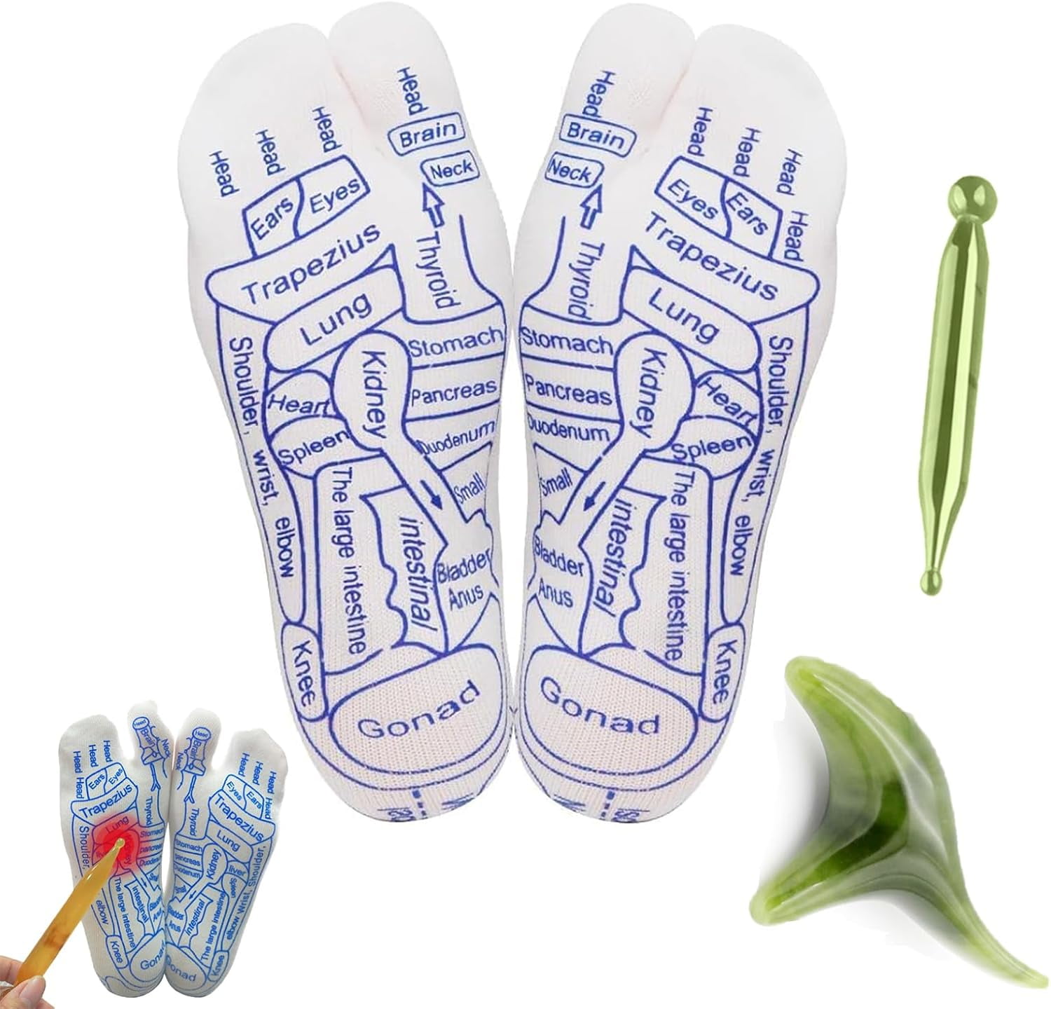 Reflexology Foot Massage Socks, Reflexology Chart Socks with Trigger ...