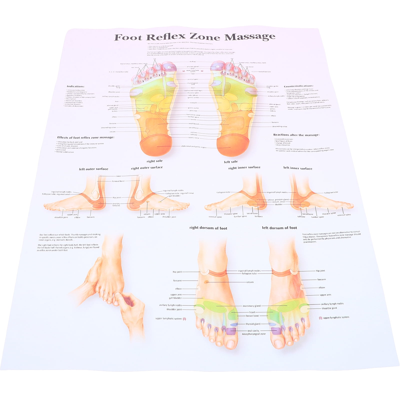 Reflexology Posters Pedicures Foot Reflexology Poster Office 39.80X30 ...