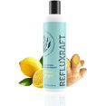 RefluxRaft Lemon Ginger Digestive Support Formula, Alginate for Acid ...