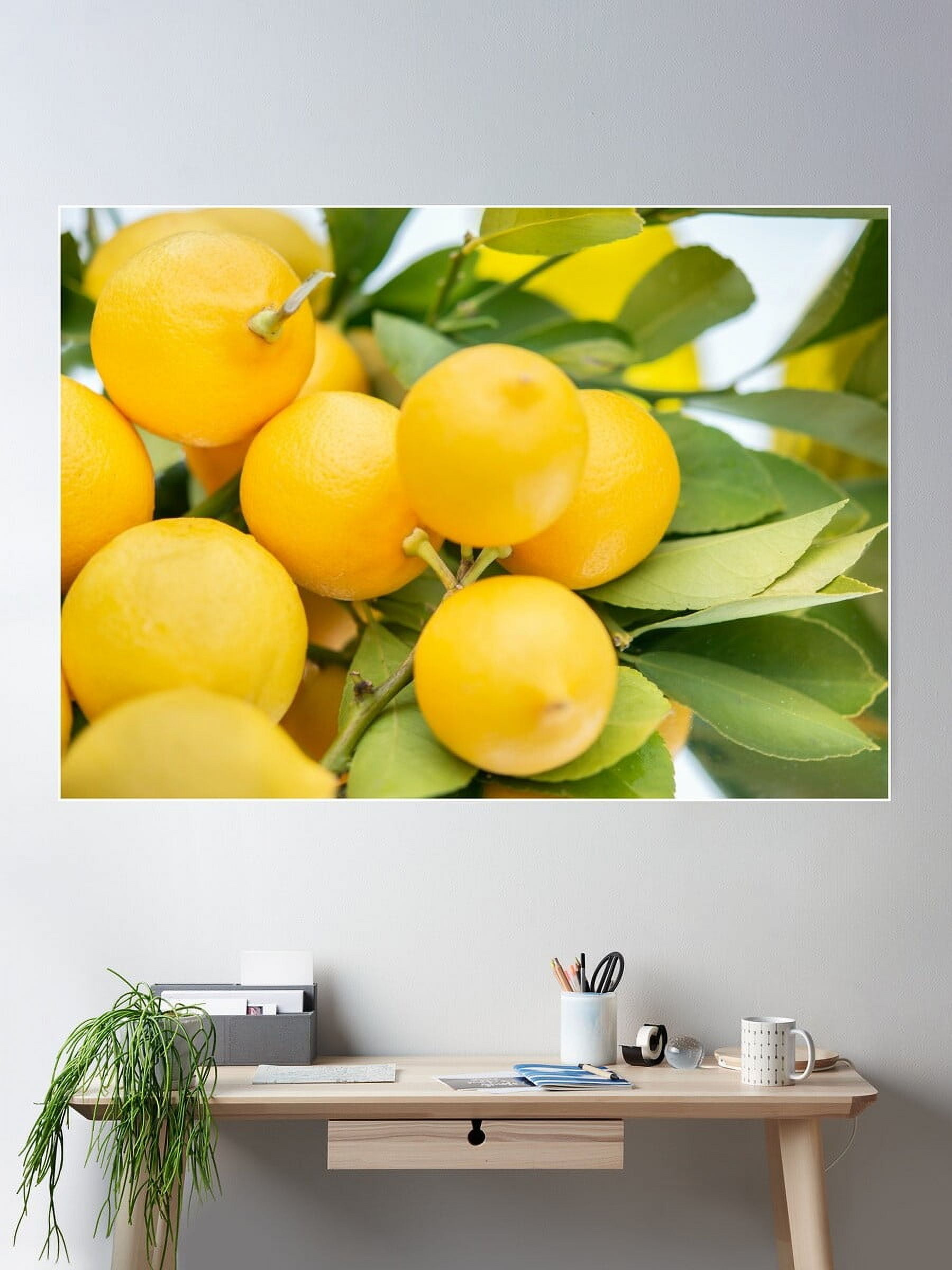 Refreshing Summer Lemons Poster Wall Art, Modern Wall Decor For Living ...