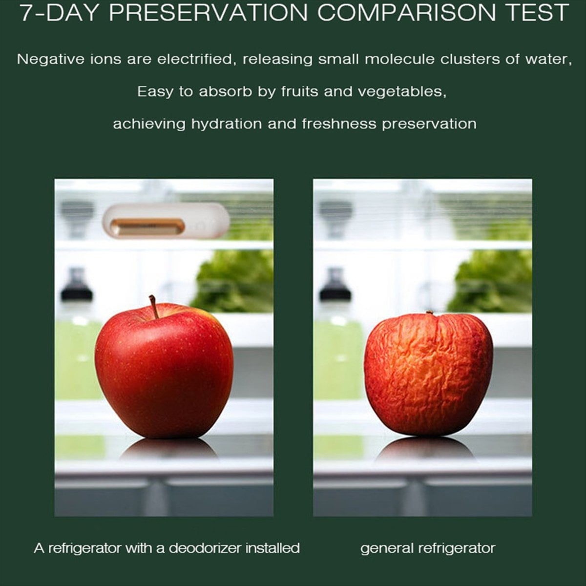 Refrigerator Deodorizer Air Purifier Food Shelf Life Extender Toilet ...