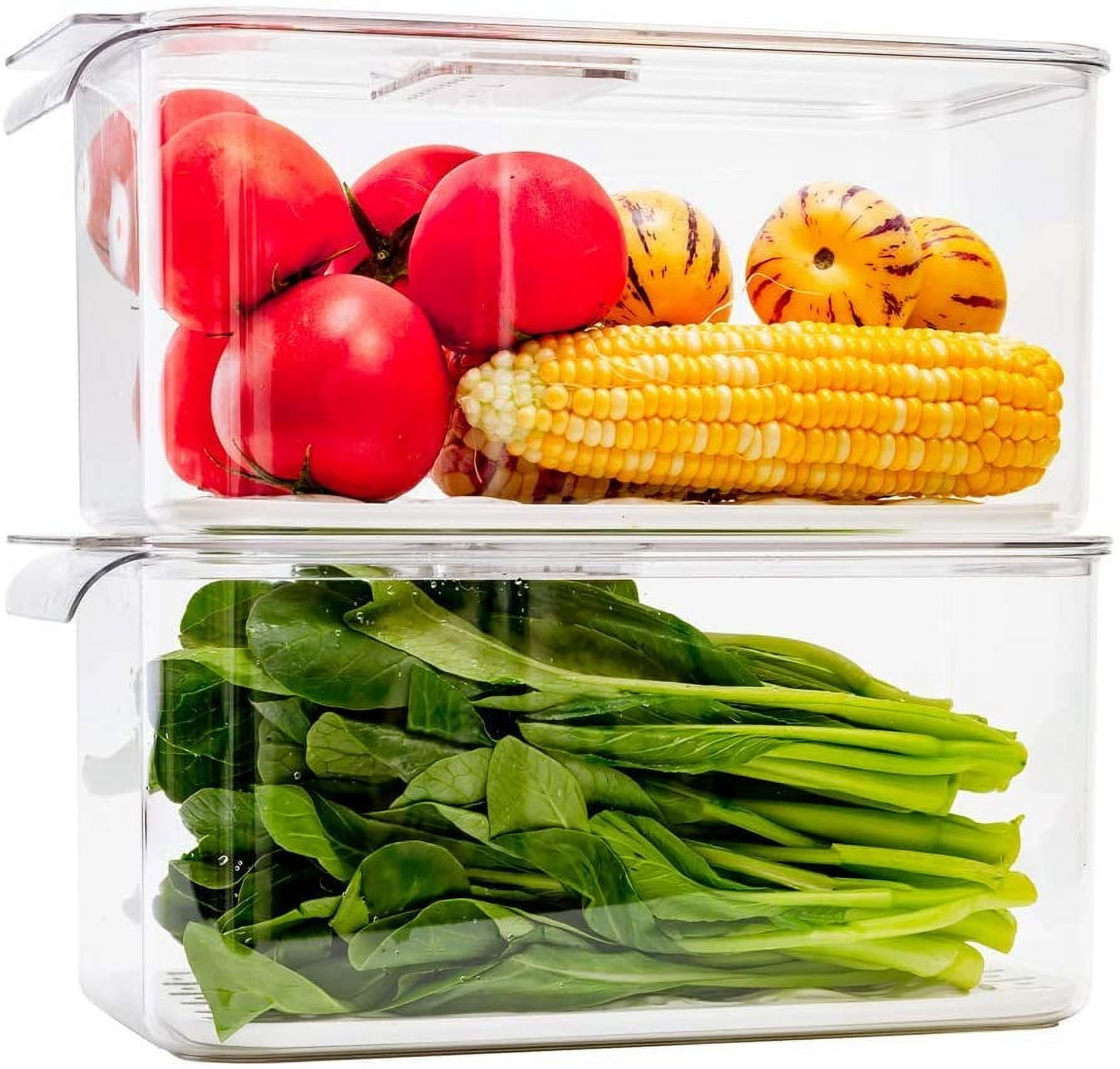 Refrigerator Food Storage Containers, Lettuce Keeper Large Produce ...