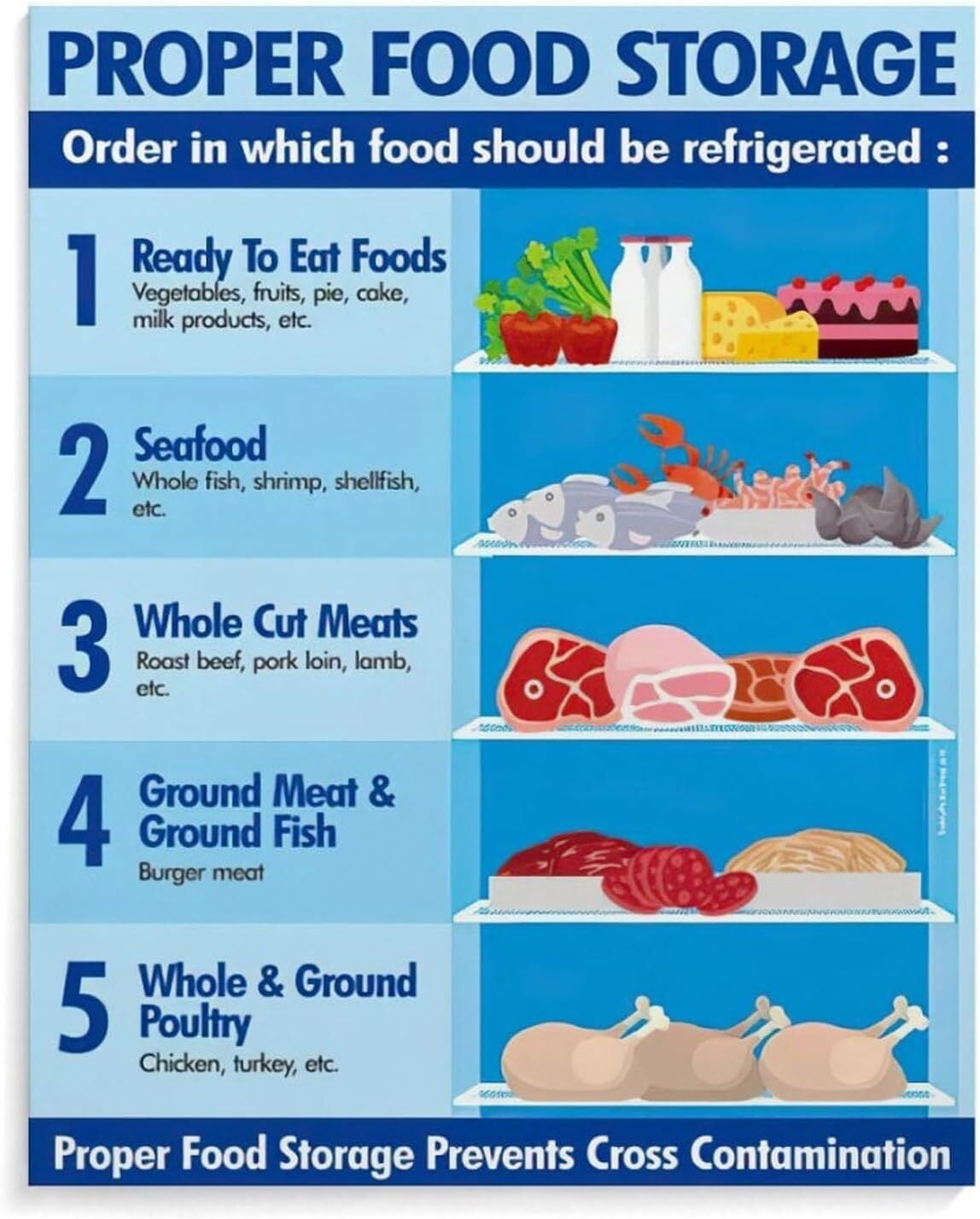 Refrigerator Food Storage Infographic Proper Storage Safety Guide ...