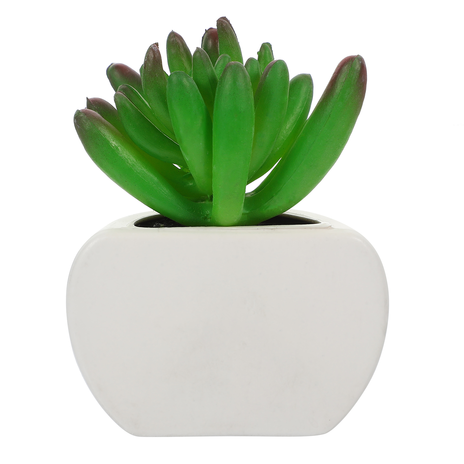 Refrigerator Plants Magnet Whiteboard Bonsai Magnet Plants Modeling ...