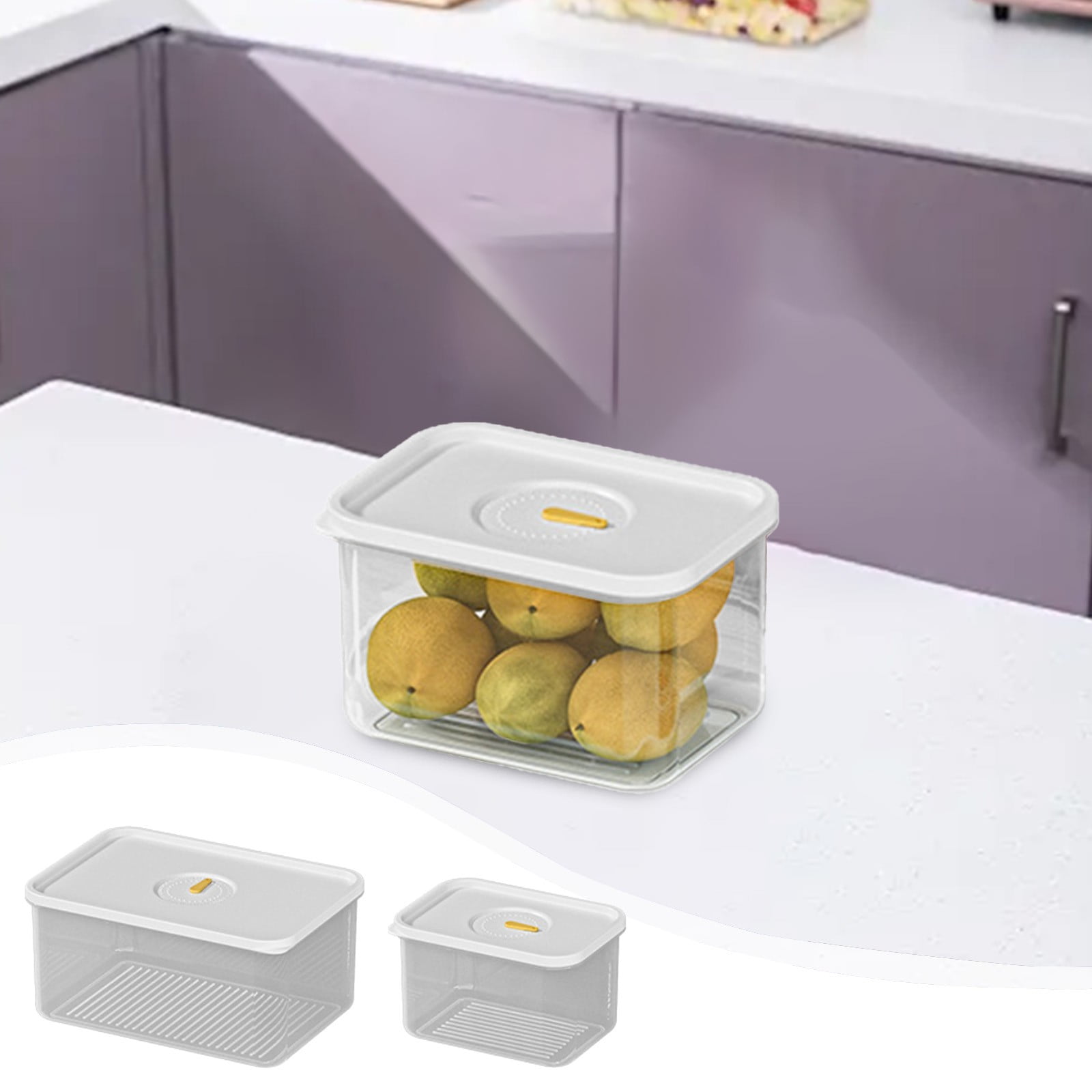 Refrigerator Storage Box with Lid | Freezer Food Container | Airtight ...