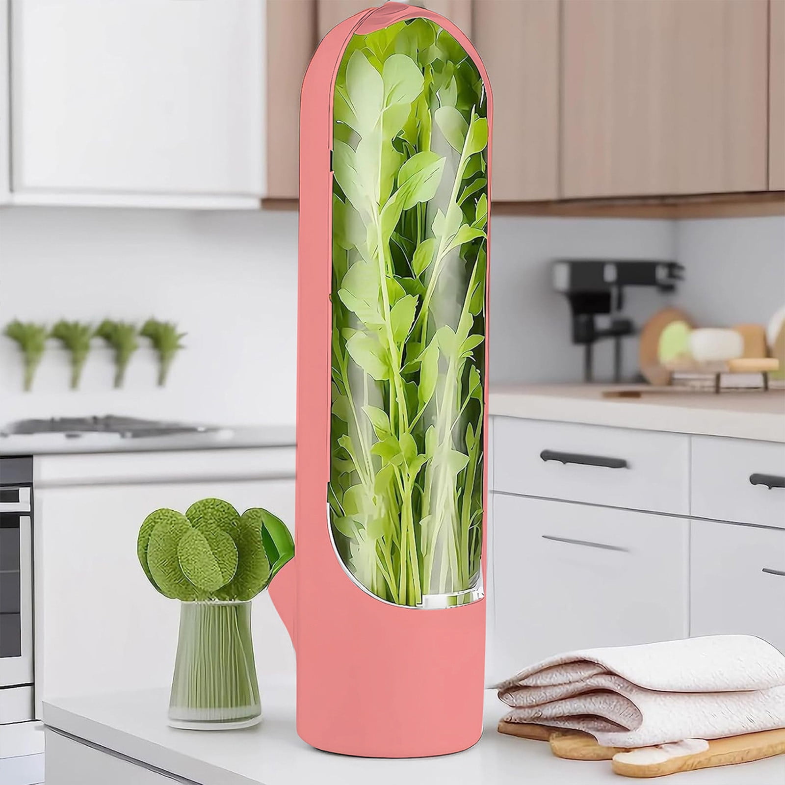 Refrigerator Storage Fresh Pod Containers for Cilantro Parsley ...