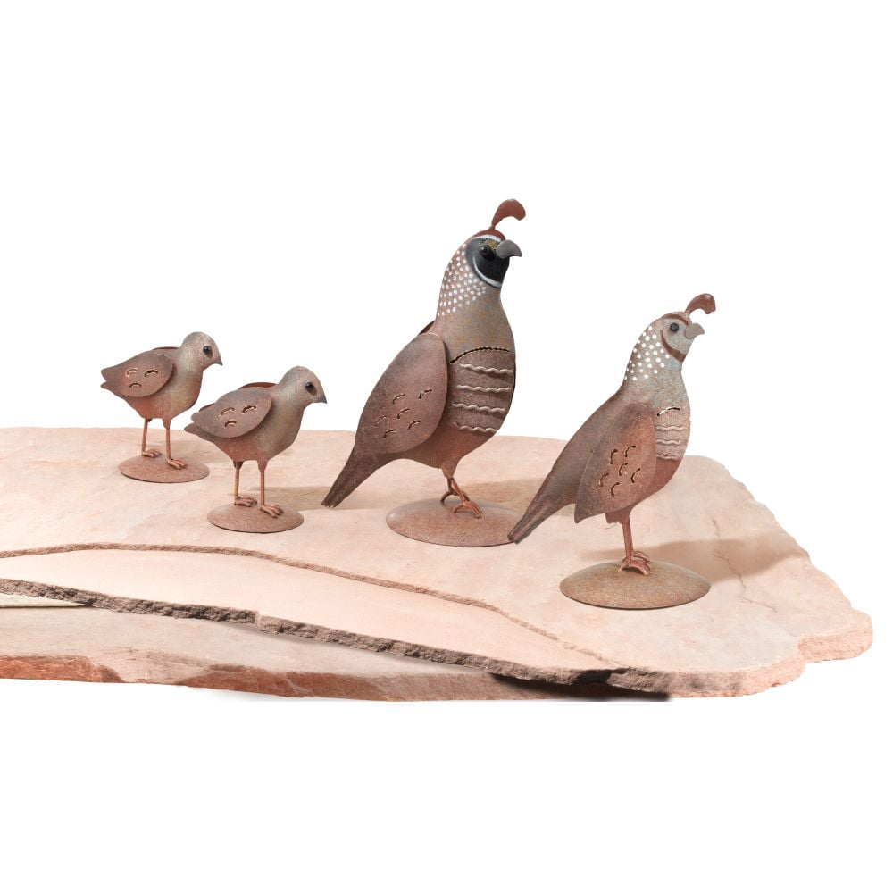 Regal Art & Gift REGALR226 Quail Chick - Walmart.com
