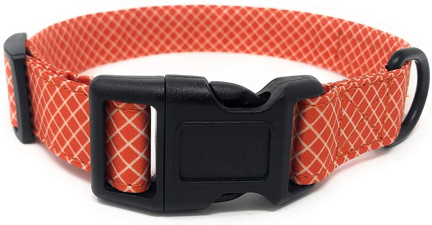 Regal Dog Products Cool Designer Collars | Custom Fit Collar for Small ...