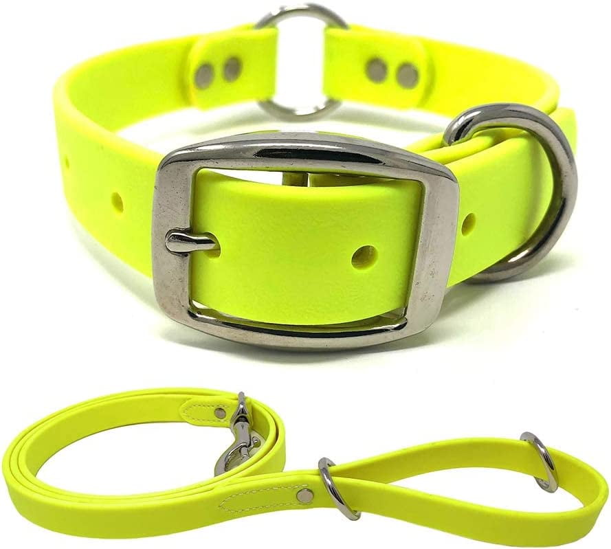 Regal Dog Products Waterproof Collar & Leash Set - Heavy Duty Center ...