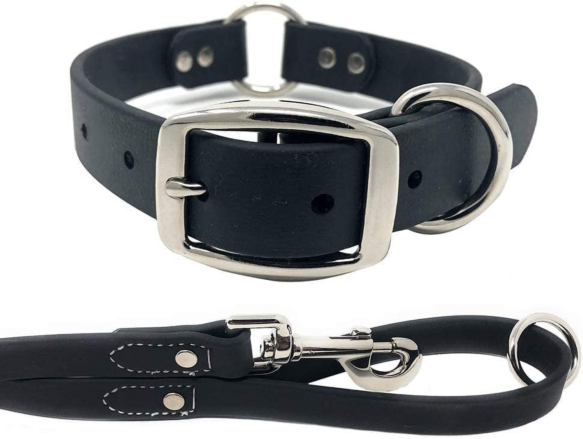 Regal Dog Products Waterproof Collar & Leash Set - Heavy Duty Center ...