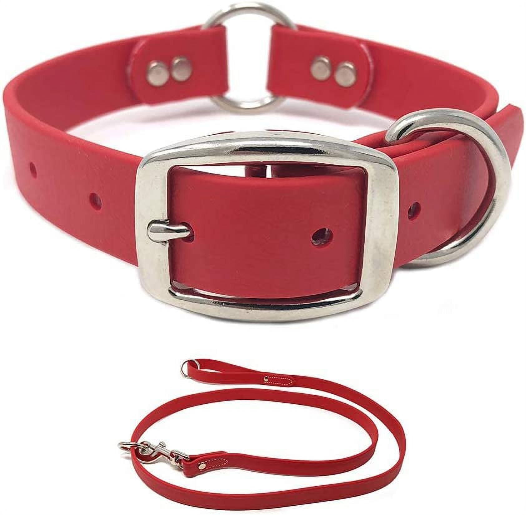 Regal Dog Products Waterproof Collar & Leash Set - Heavy Duty Center ...