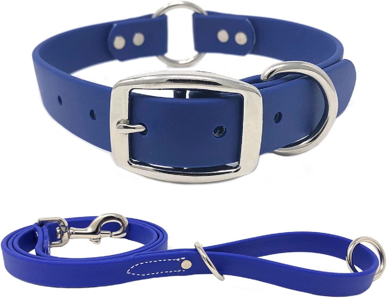 Regal Dog Products Waterproof Collar & Leash Set - Heavy Duty Center ...