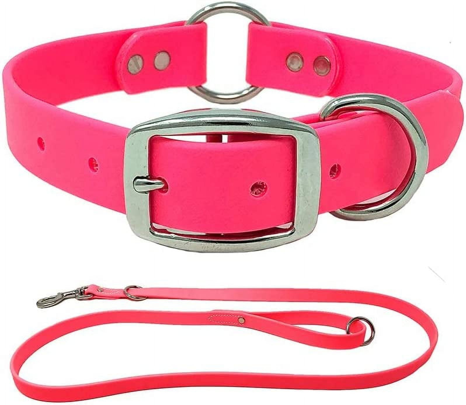 Regal Dog Products Waterproof Collar & Leash Set - Heavy Duty Center ...