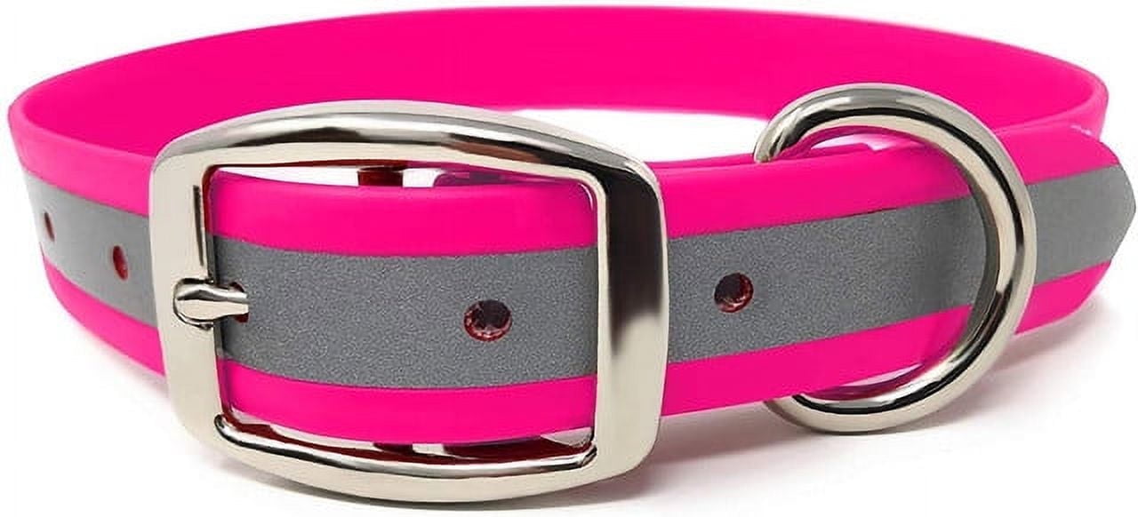 Regal Dog Products Heavy Duty Waterproof Reflective Standard Collar ...