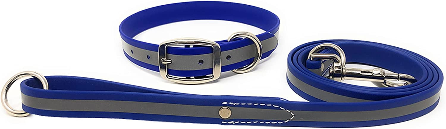 Regal Dog Products Reflective Standard Collar and 5ft Leash Set ...