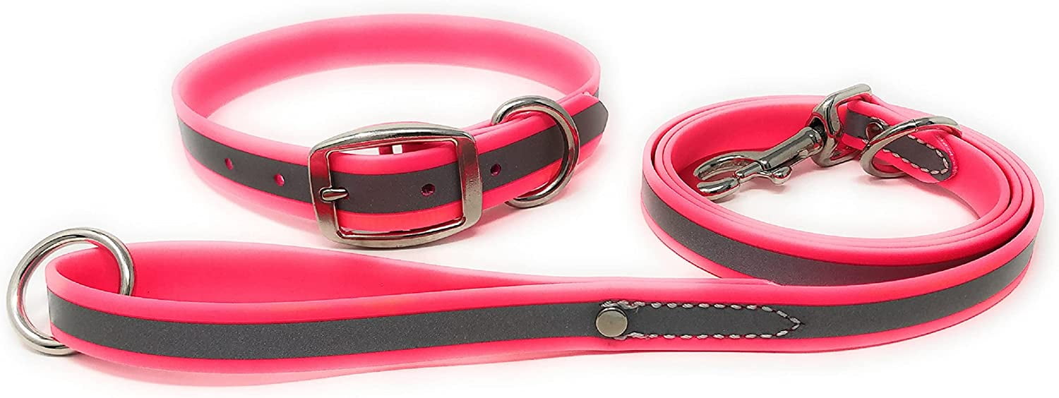 Regal Dog Products Reflective Standard Collar and 5ft Leash Set ...