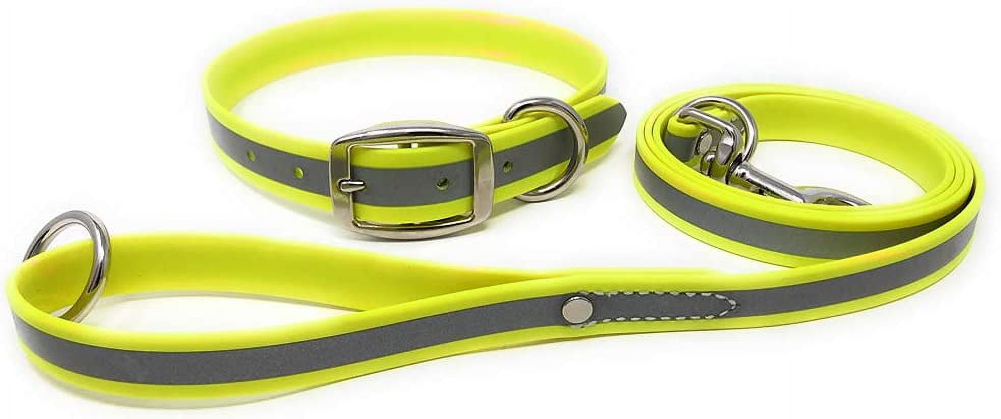 Regal Dog Products Reflective Standard Collar and 5ft Leash Set ...