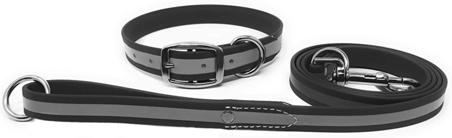 Regal Dog Products Reflective Standard Collar and 5ft Leash Set ...