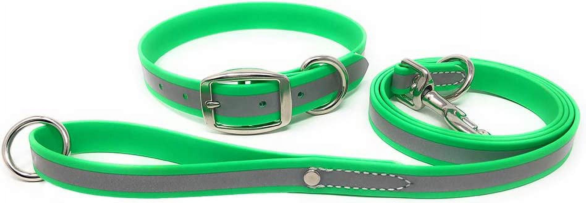 Regal Dog Products Reflective Standard Collar and 5ft Leash Set ...