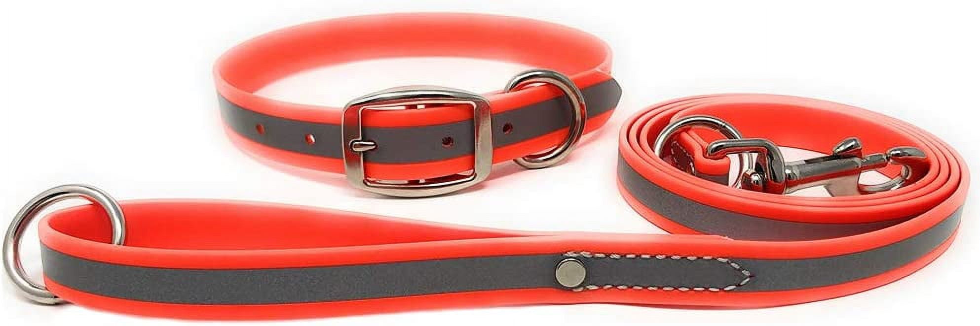Regal Dog Products Reflective Standard Collar and 5ft Leash Set ...