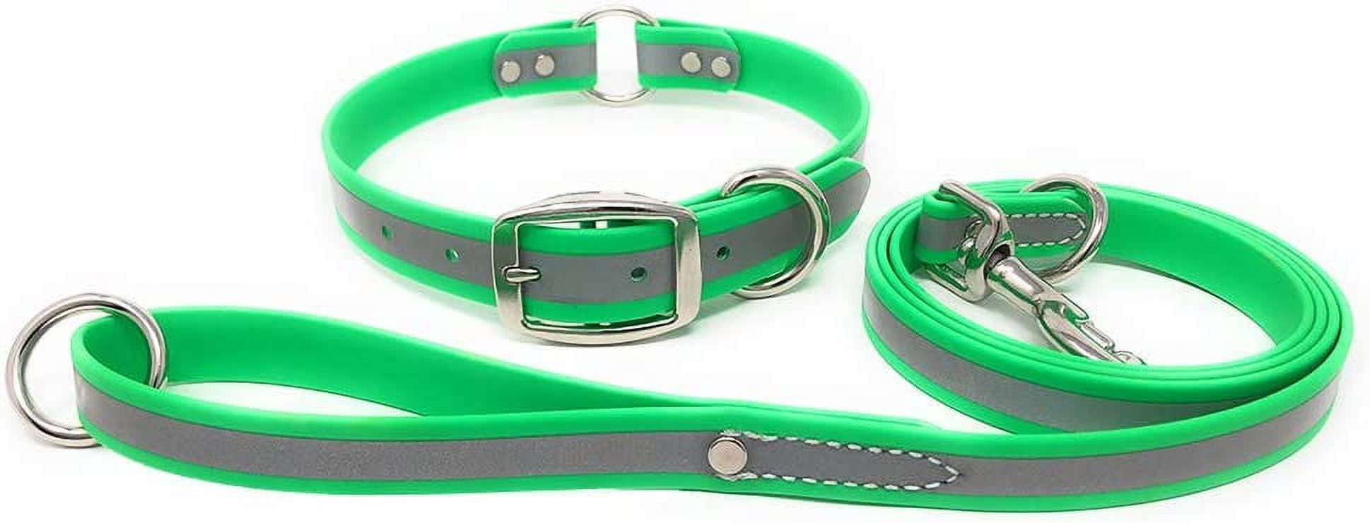 Regal Dog Products Heavy Duty Reflective Center Ring Collar & 5ft Leash ...