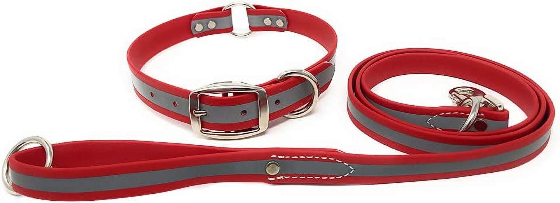 Regal Dog Products Heavy Duty Reflective Center Ring Collar & 5ft Leash ...