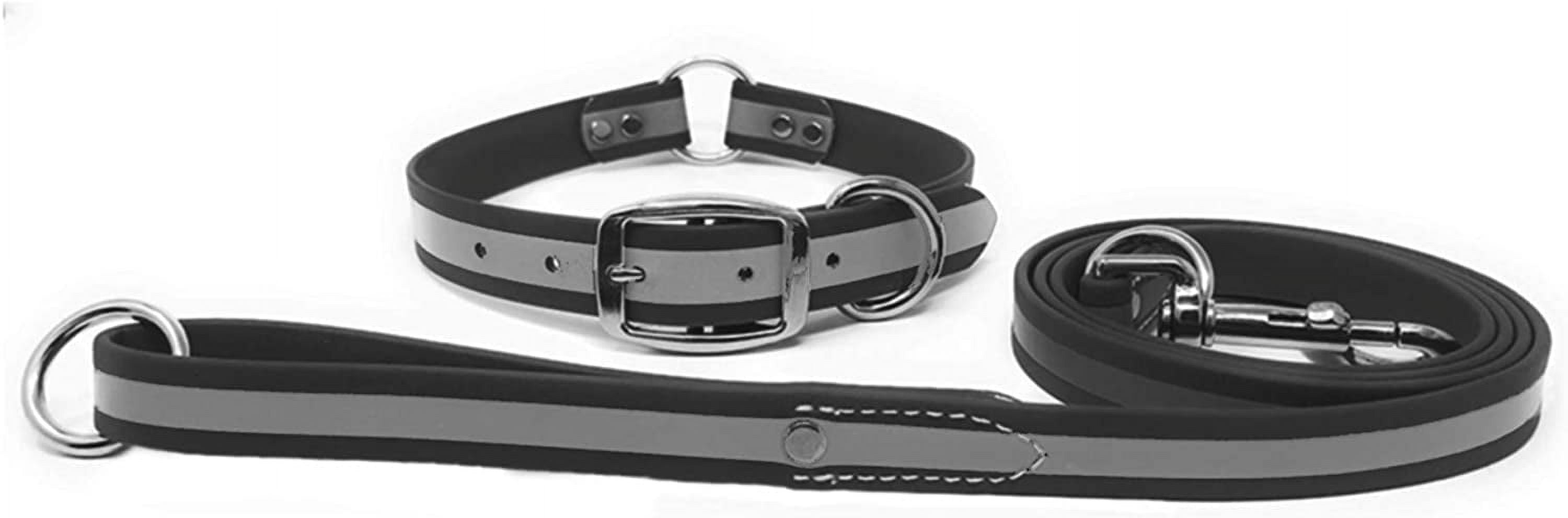 Regal Dog Products Heavy Duty Reflective Center Ring Collar & 5ft Leash ...