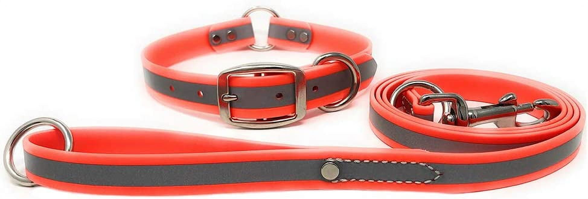 Regal Dog Products Heavy Duty Reflective Center Ring Collar & 5ft Leash ...