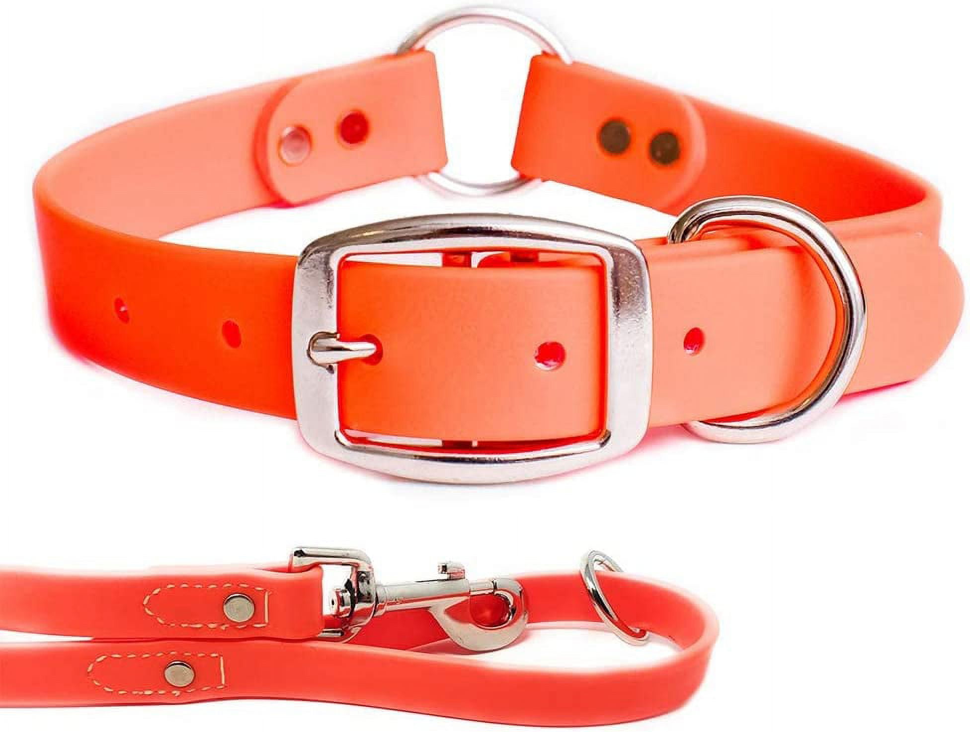 Regal Dog Products Waterproof Collar & Leash Set - Heavy Duty Center ...