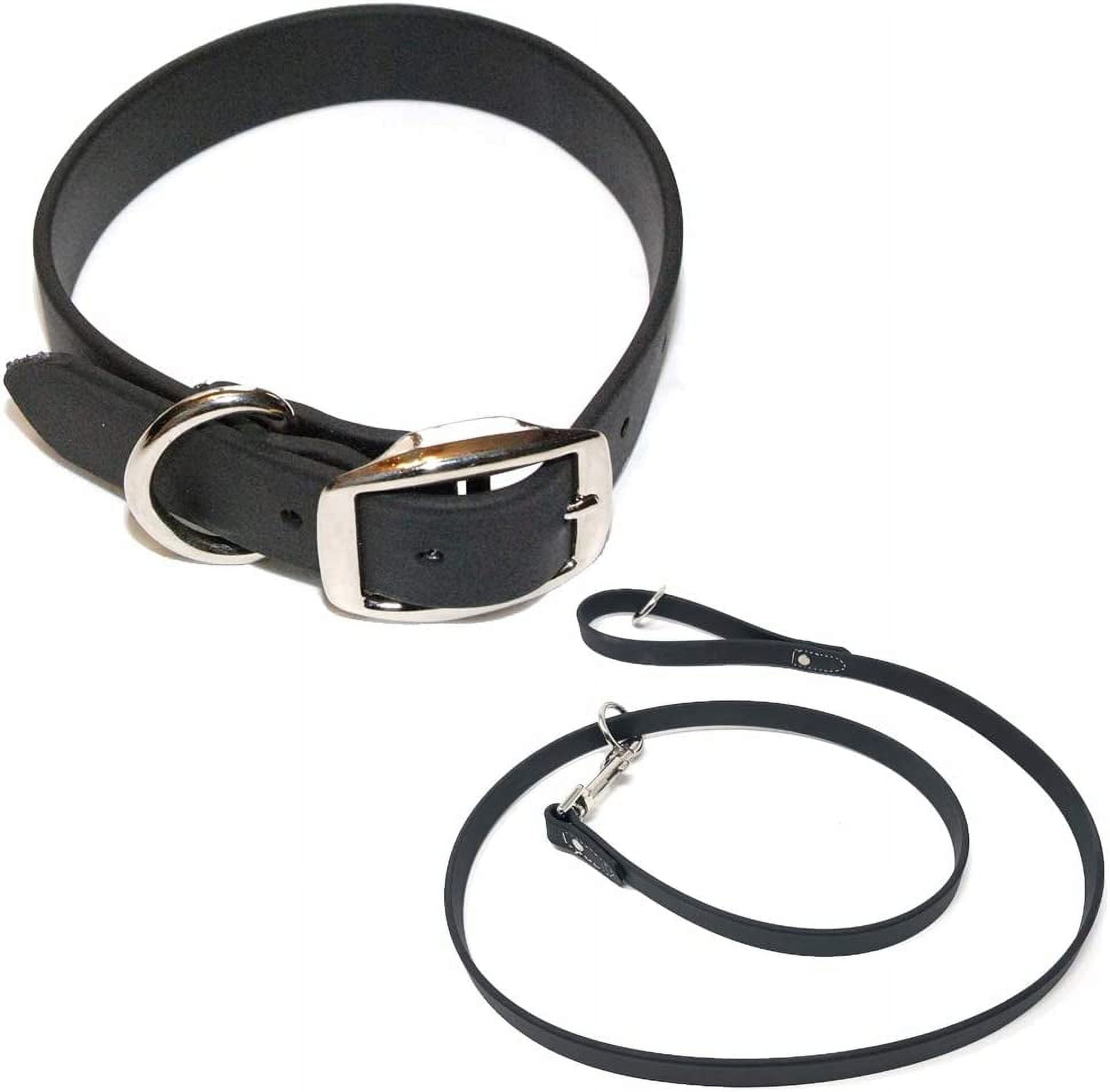 Regal Dog Products Waterproof Collar & 5ft Leash Set Heavy Duty ...
