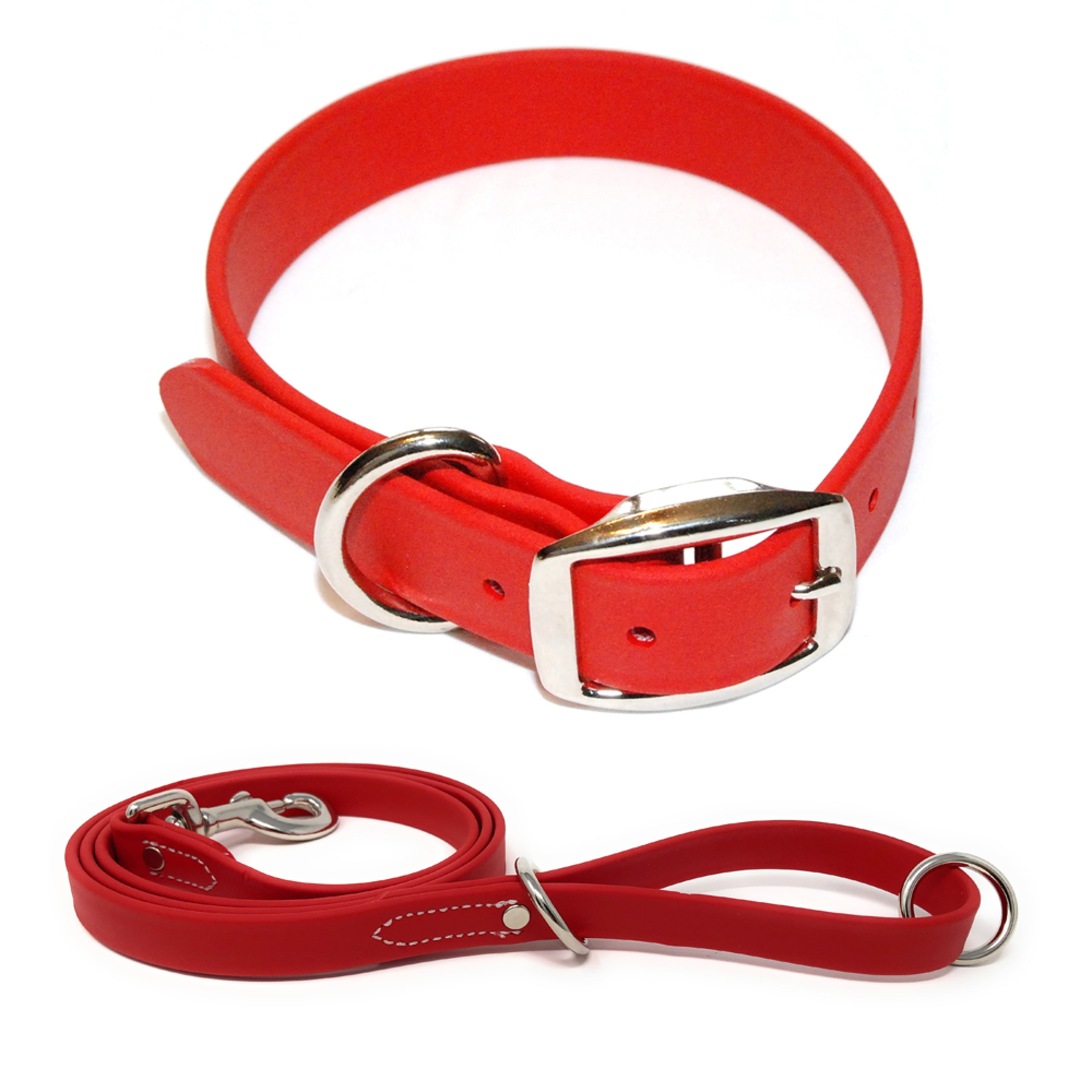 Regal Dog Products Waterproof Collar & 5ft Leash Set Heavy Duty ...