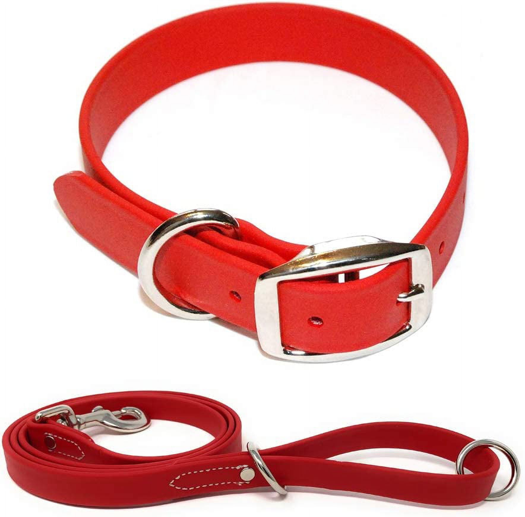 Regal Dog Products Waterproof Collar & 5ft Leash Set Heavy Duty ...