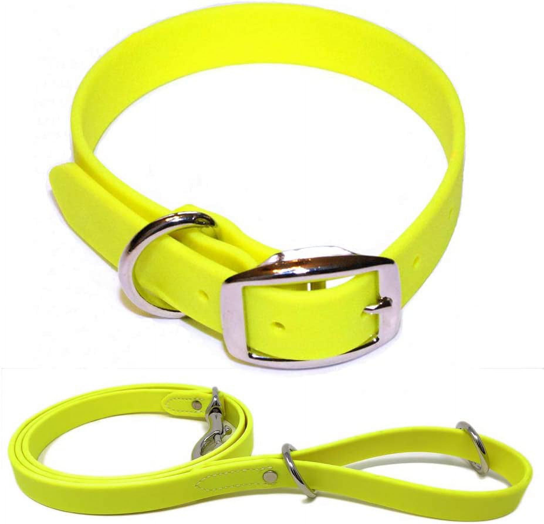 Regal Dog Products Waterproof Collar & 5ft Leash Set Heavy Duty ...