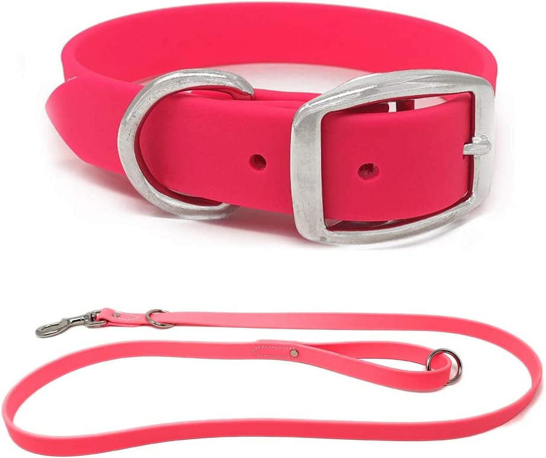 Regal Dog Products Waterproof Walking Collar & Leash Set for Medium to ...