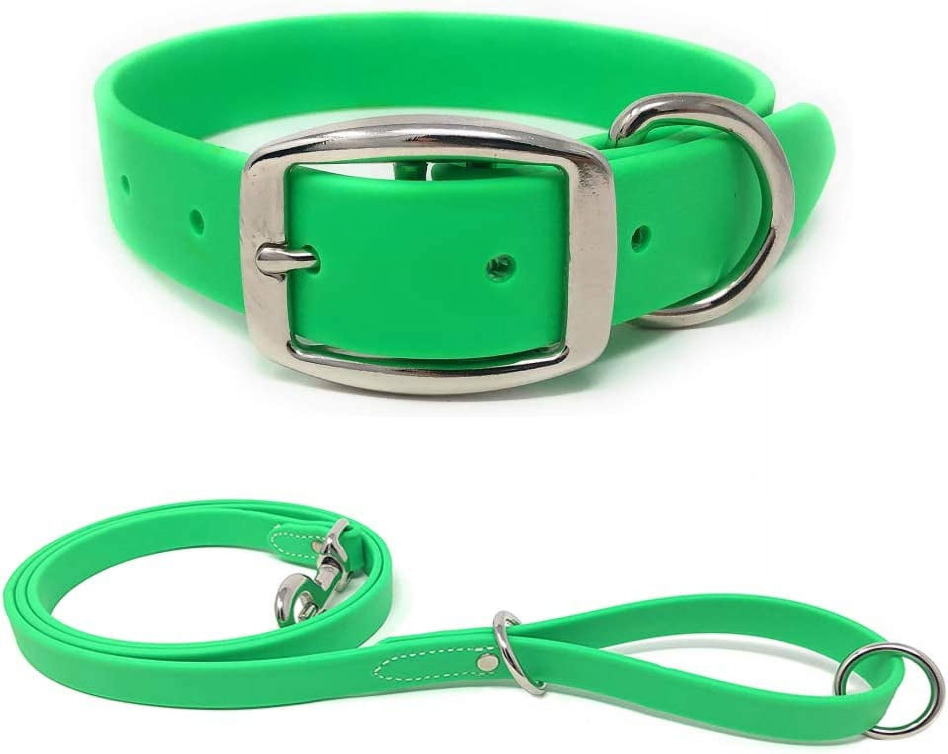 Regal Dog Products Waterproof Collar & 5ft Leash Set Heavy Duty ...