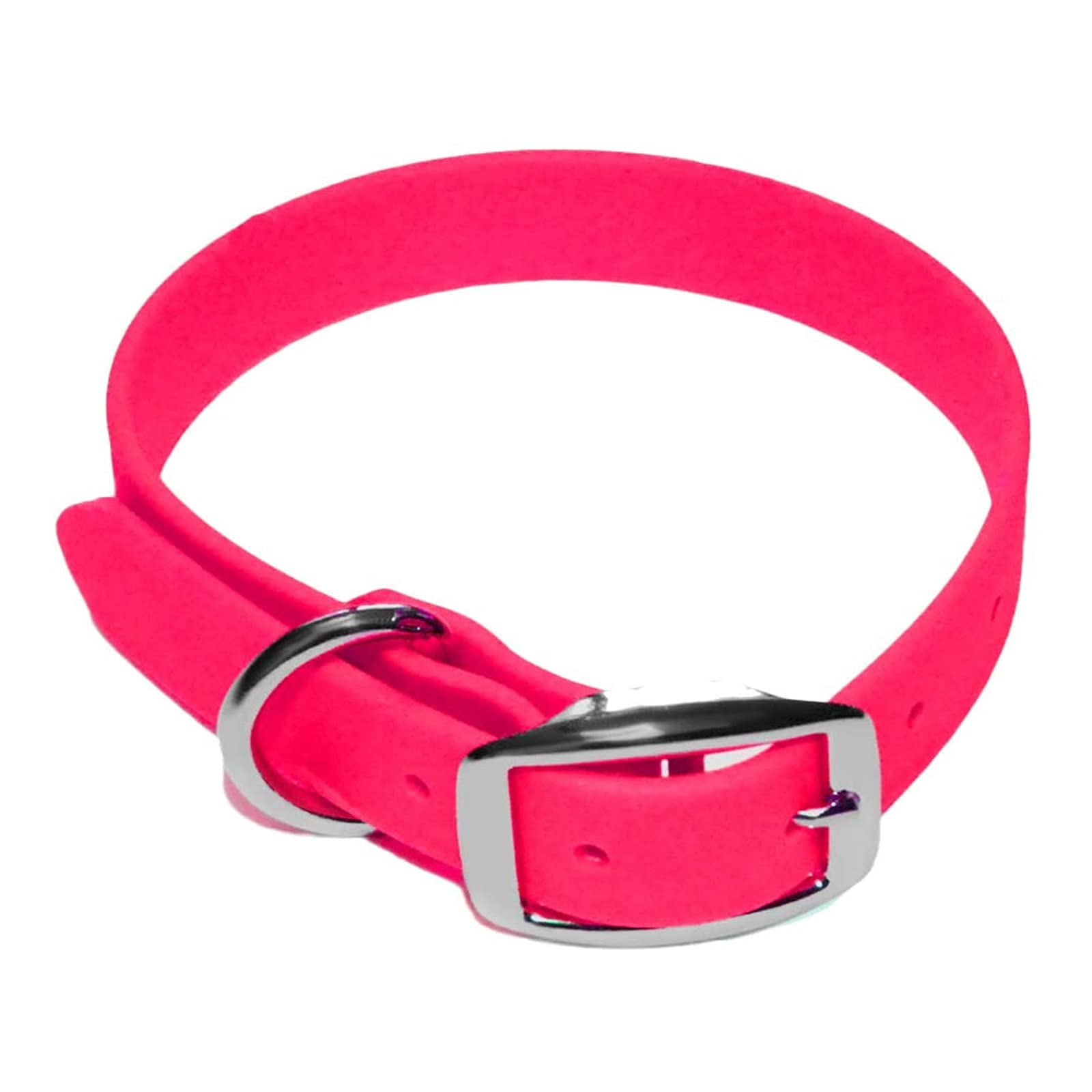 Regal Dog Products Waterproof Collar with Double Buckle and D Ring ...